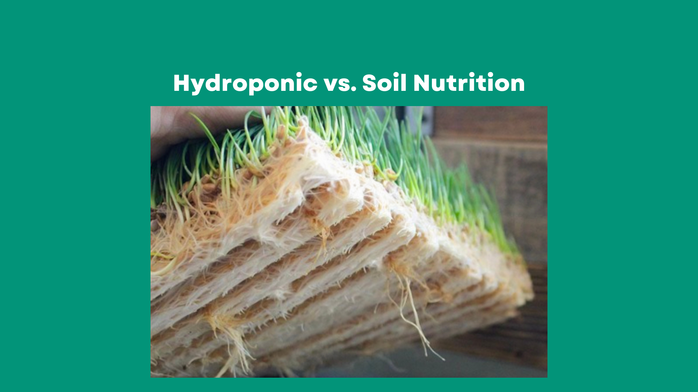 Hydroponics vs. Soil Crop Nutrition – Re-Nuble