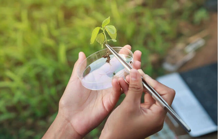 Sustainable Approaches to Agriculture Input Research & Development – P ...