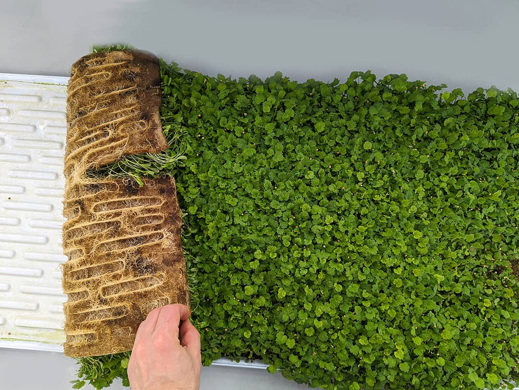 ReNu Terra™ Mats – Re-Nuble