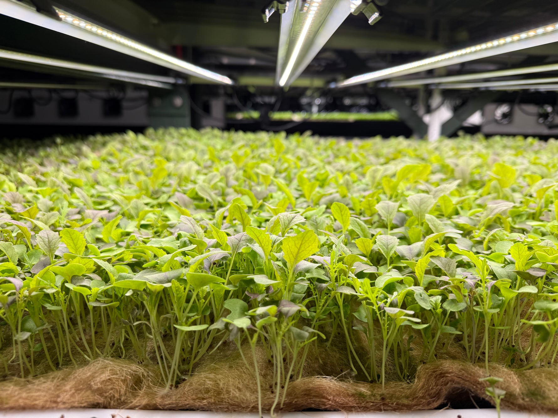Innovator of Sustainable Peat Free Grow Mat / Media Solutions – Re-Nuble